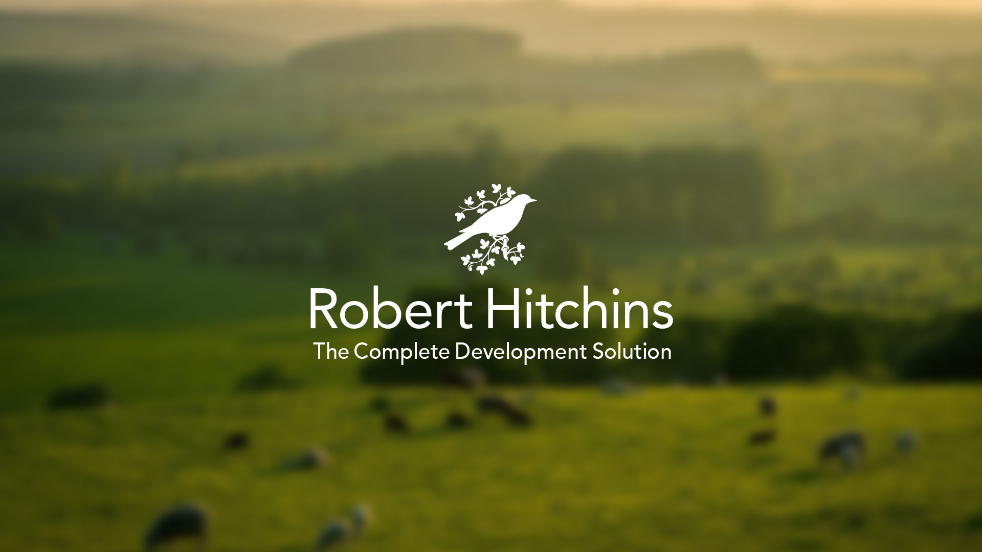 Our Work | Robert Hitchins Group | Kubiak Creative